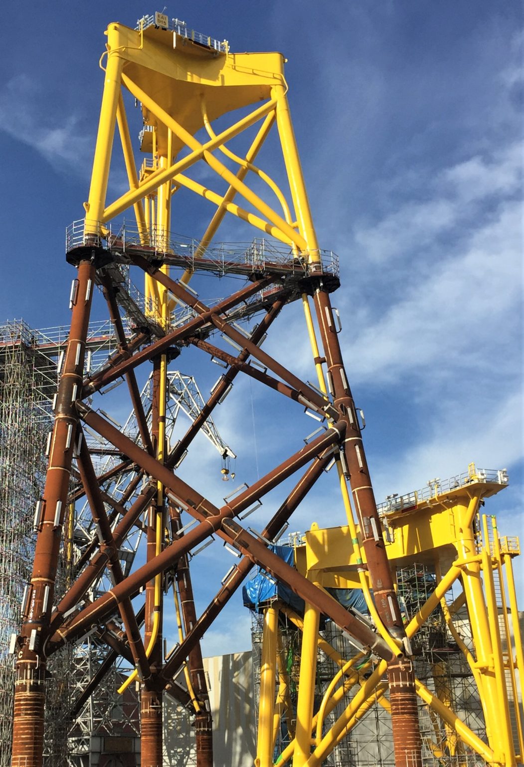 Integral Project Management – Taiichio & Wolf